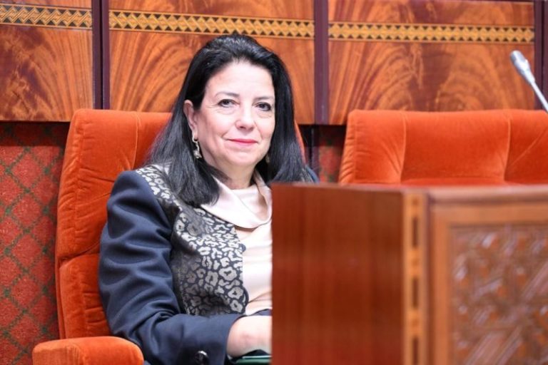 Insolite. Numérique au Maroc : quand Amal El Fallah Seghrouchni promet ...